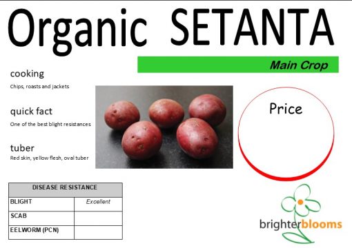 Setanta (Organic) – Brighter Blooms